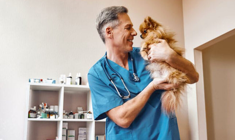 4 Reasons Regular Pet Wellness Screenings Are Important | Cara Veterinary
