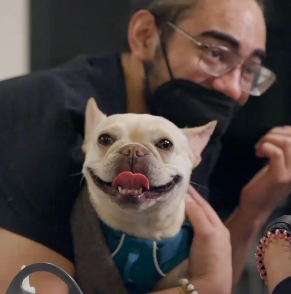 Cara Veterinary